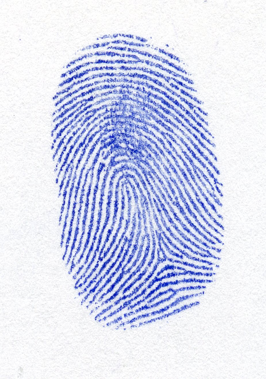 SVT Les empreintes digitales.